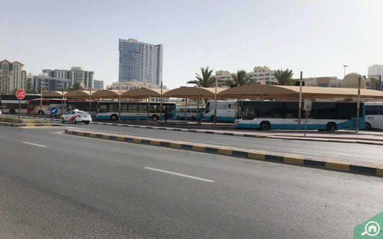 Ajman to Ras Al Khaimah bus service: Timings, Fare & More - MyBayut