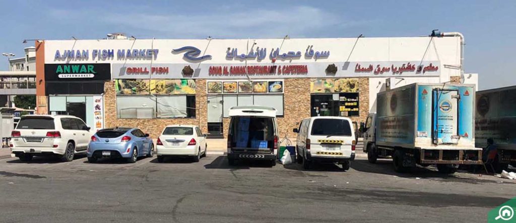 All About Ajman Fish Market: Timings, Location & more - MyBayut