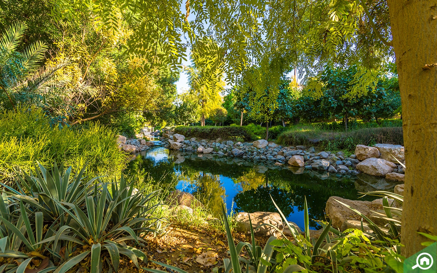 A Guide to Popular Green Communities in Dubai - MyBayut