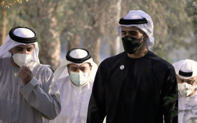 All About Al Fay Park in Abu Dhabi: Activities, Location & More - MyBayut