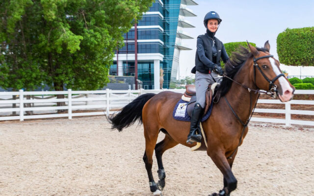 Guide to Al Forsan International Sports Resort Abu Dhabi - MyBayut