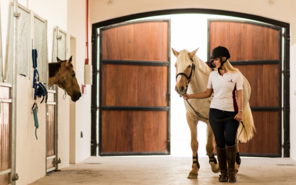 Top Places for Horse Riding Lessons in Dubai for Kids & Adults – MyBayut