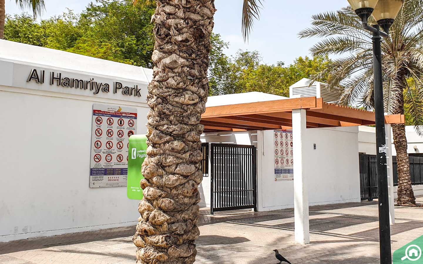 All About Al Hamriya Park: Activities, Location & More - MyBayut