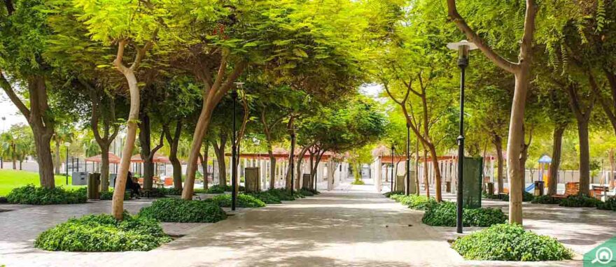 All About Al Hamriya Park: Activities, Location & More - MyBayut