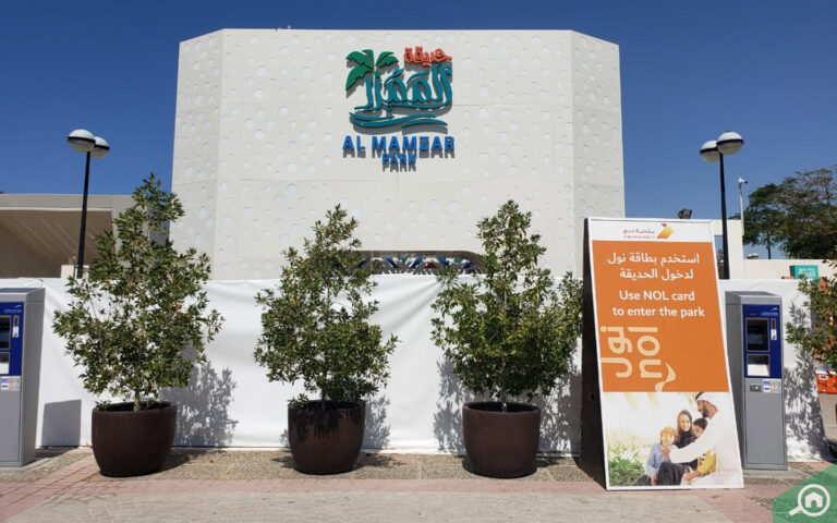 Al Mamzar Beach Park Activities:Ticket, Facilities & More - MyBayut