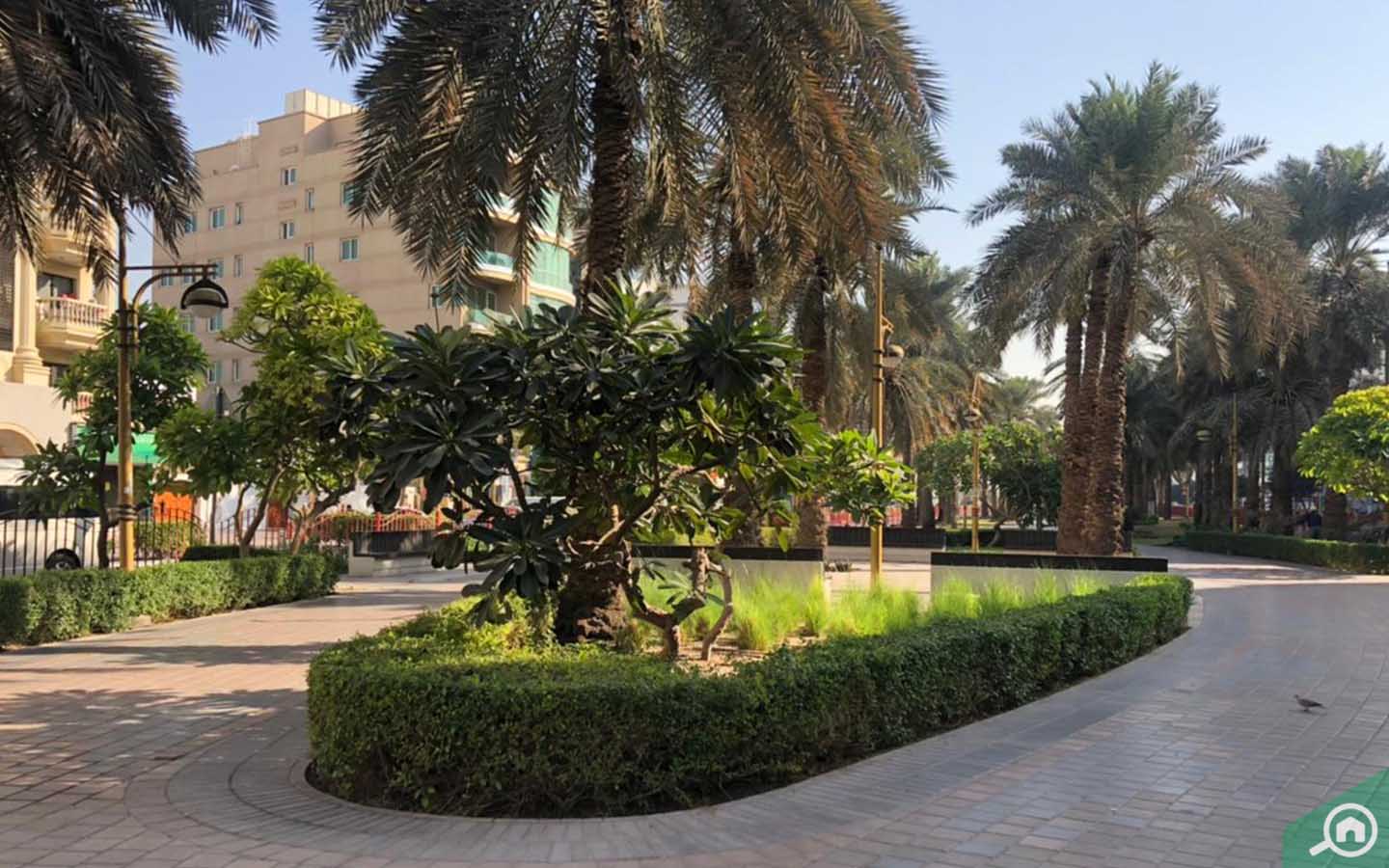 A Guide to Al Muteena Park in Dubai: Location, Activities & More - MyBayut