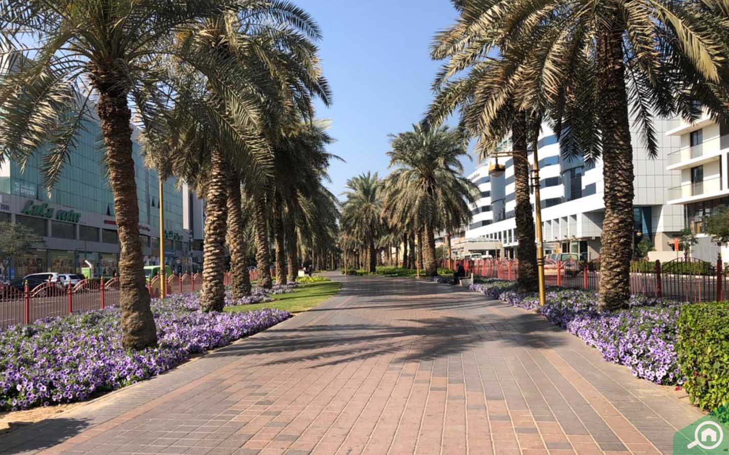 A Guide to Al Muteena Park in Dubai: Location, Activities & More - MyBayut