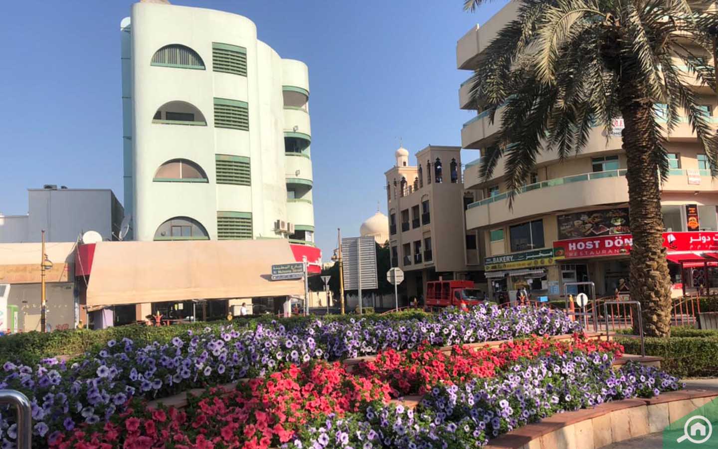 A Guide to Al Muteena Park in Dubai: Location, Activities & More - MyBayut