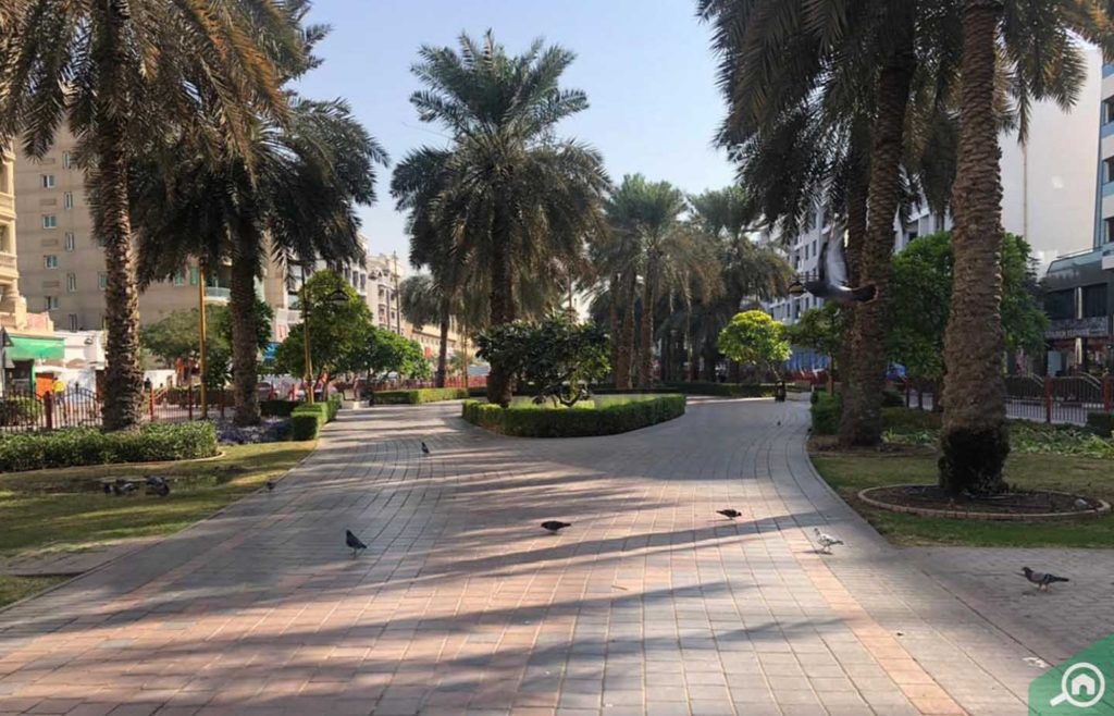 A Guide to Al Muteena Park in Dubai: Location, Activities & More - MyBayut