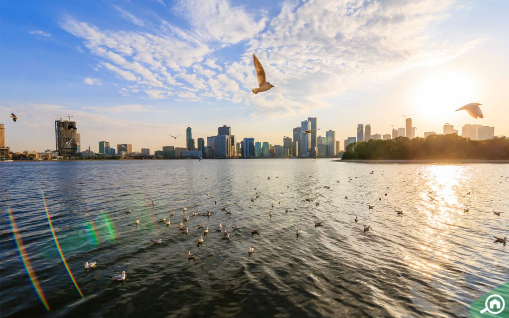 All About the Al Noor Mosque: Timings, Location & More - MyBayut