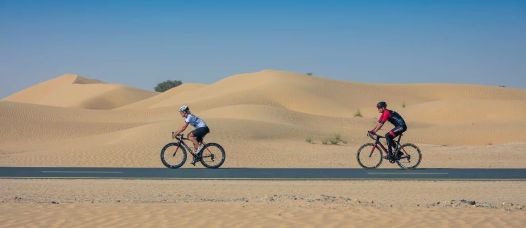 Al Qudra Cycle Track Guide: Routes, Location & More - MyBayut