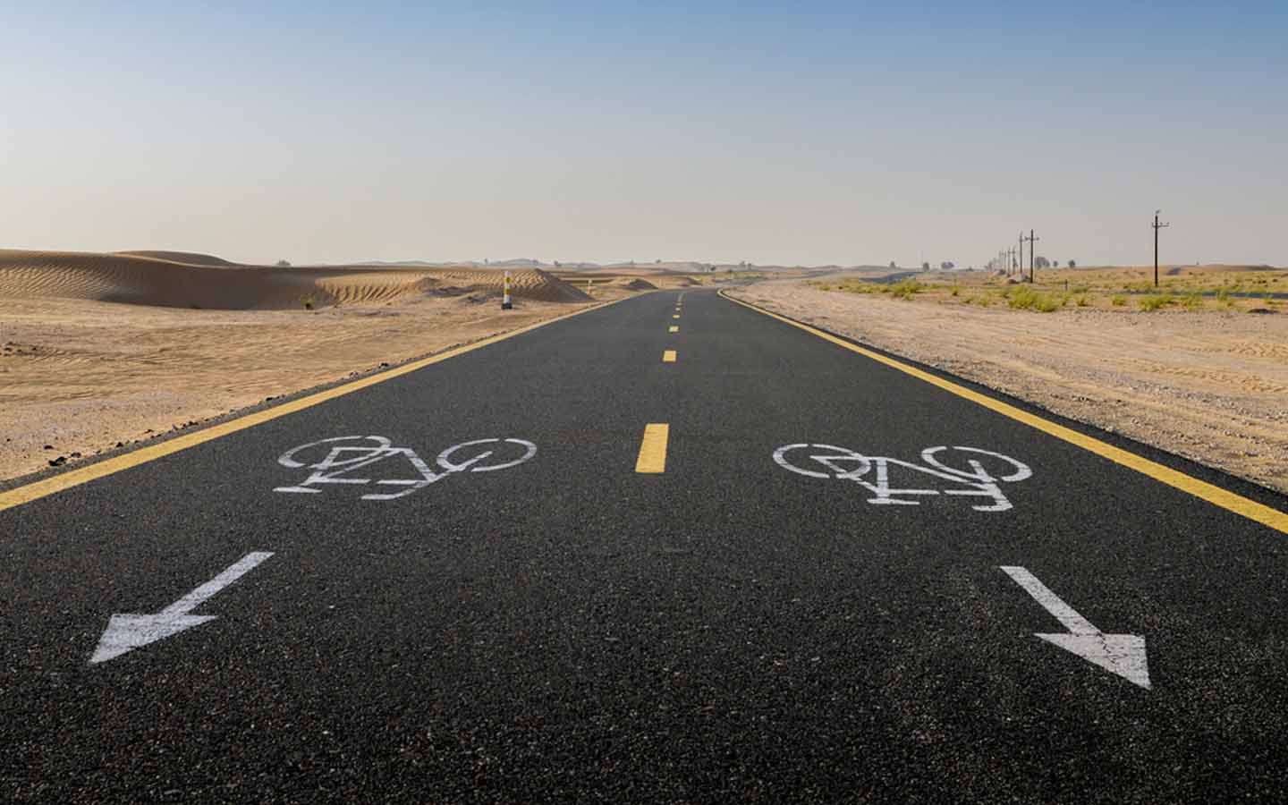 Al Qudra Cycle Track Guide: Routes, Location & More - MyBayut