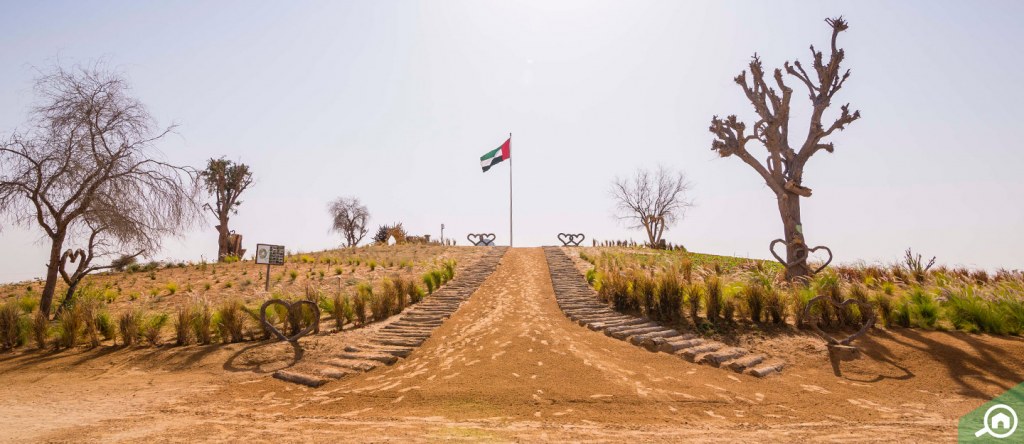 Al Qudra Lake Guide: Love Lake, Camping, Location & More - MyBayut
