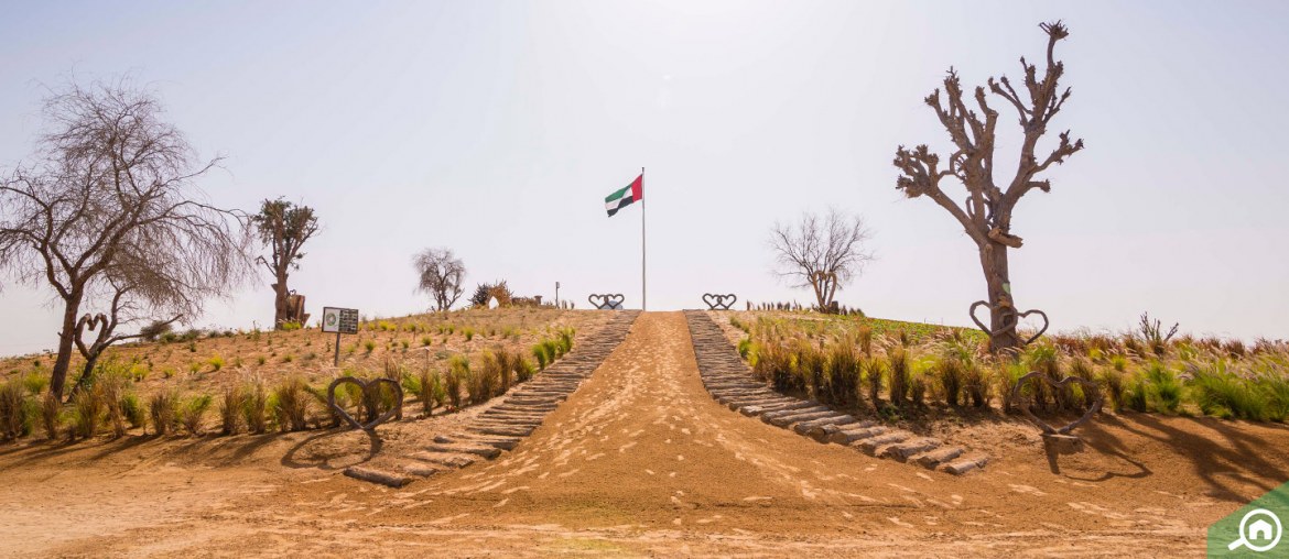 Al Qudra Lake Guide: Love Lake, Camping, Location & More - MyBayut