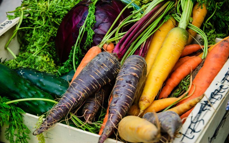 Organic Farms in Abu Dhabi: Gracia, Al Rahba & More - MyBayut
