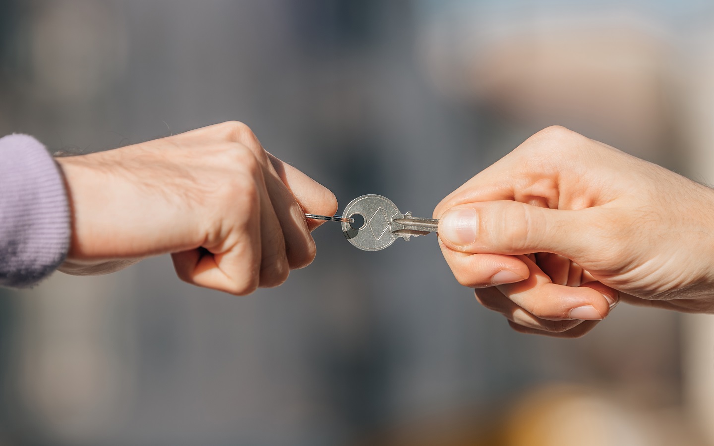 About Rental Dispute Settlement Committees in Abu Dhabi - MyBayut