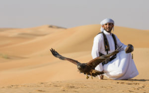 A Guide to Falconry in the UAE: History, Relevance & More - MyBayut