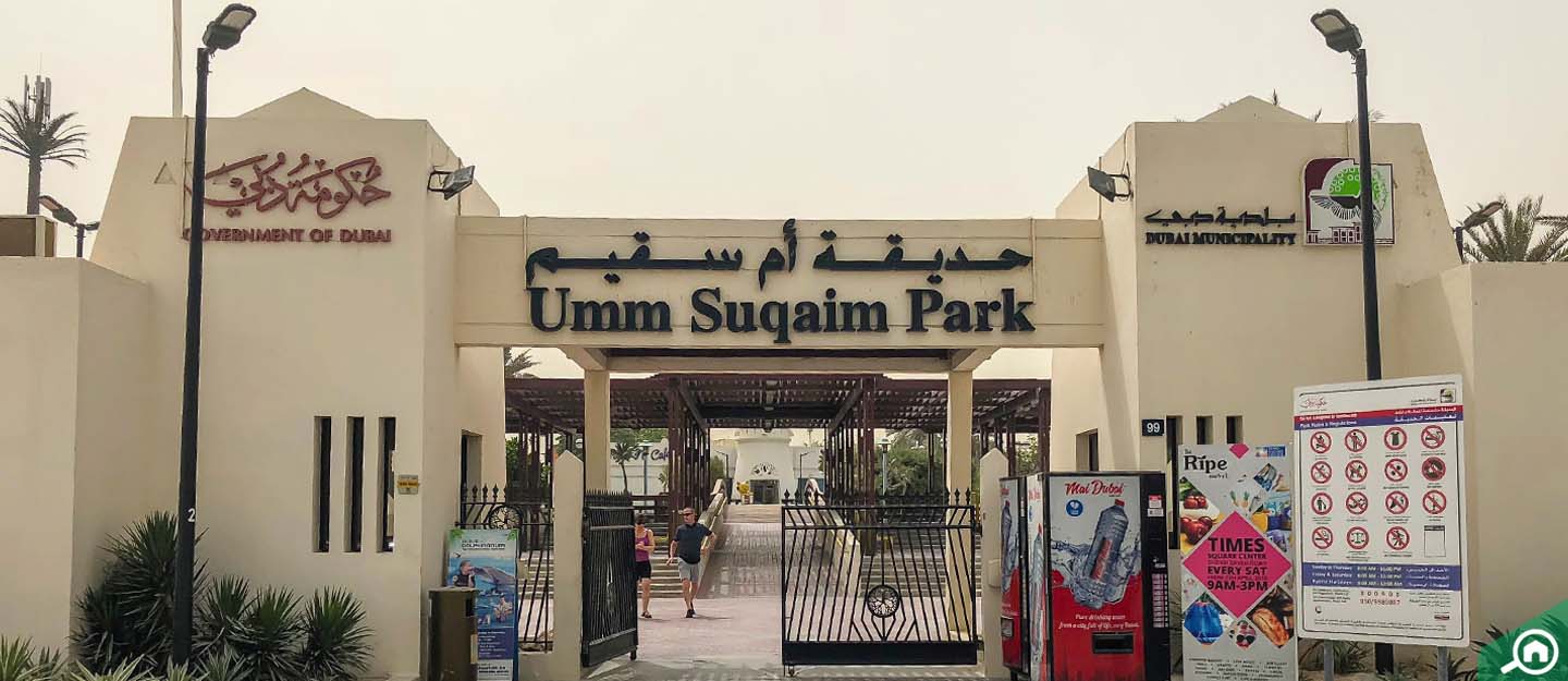 All About Umm Suqeim Park: Location, Activities, Entry & More - MyBayut