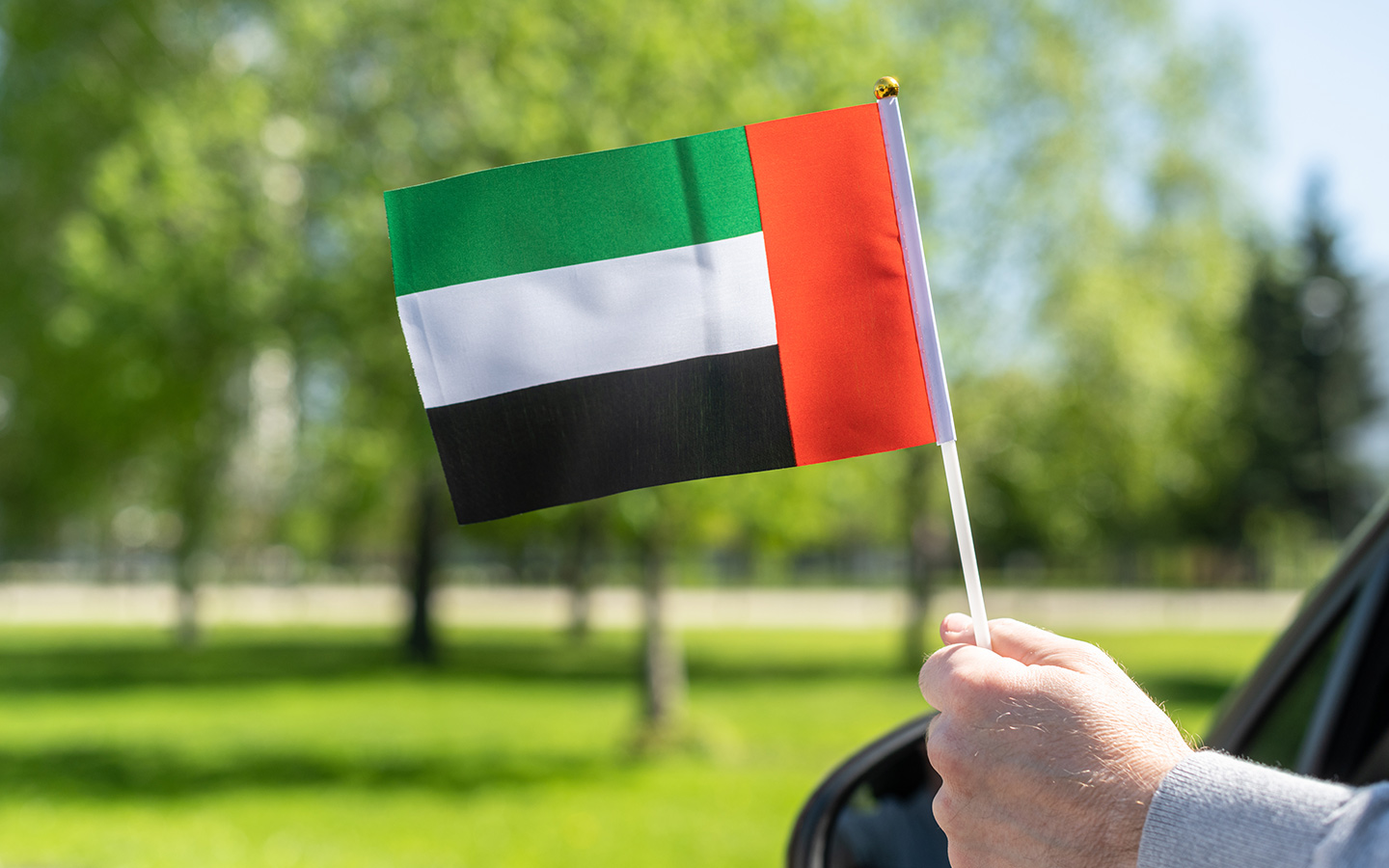 Ras Al Khaimah Driving Licence Guide: Fees, Schools & More - MyBayut