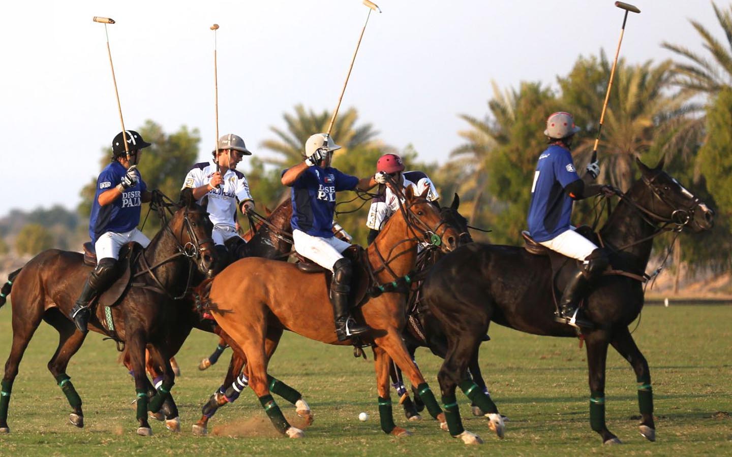 Desert Palm Polo Club in Dubai: Classes, Location & More - MyBayut