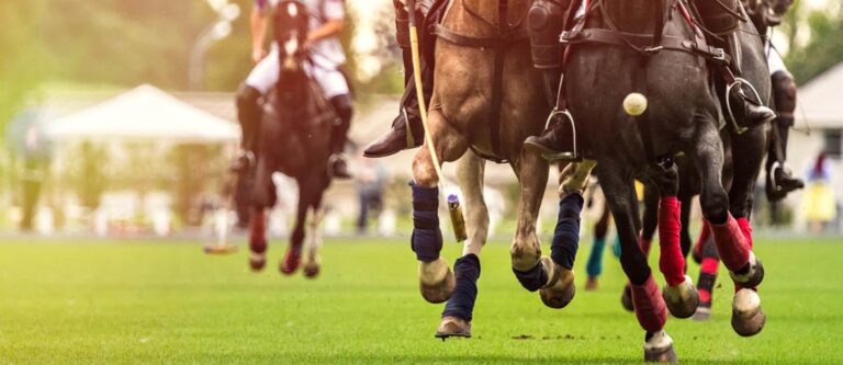 Desert Palm Polo Club in Dubai: Classes, Location & More - MyBayut