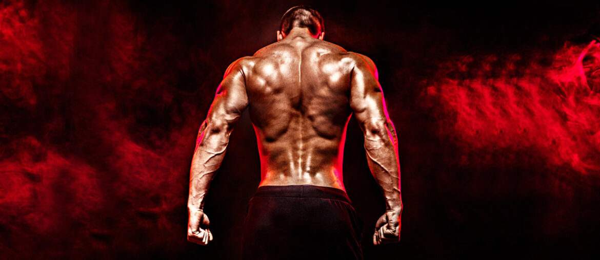 Dubai Muscle Show 2025: Location, Timing, Tickets & More - MyBayut