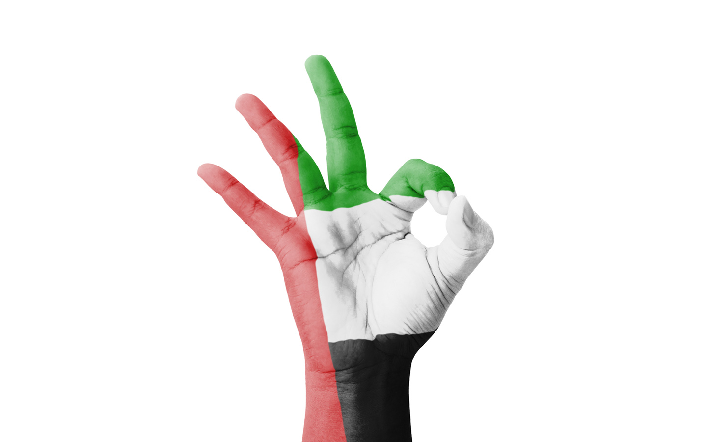 All about the Emirates government service excellence program - MyBayut