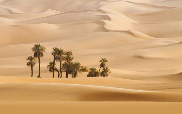 All About the Arabian Desert: Geography, Climate & More - MyBayut