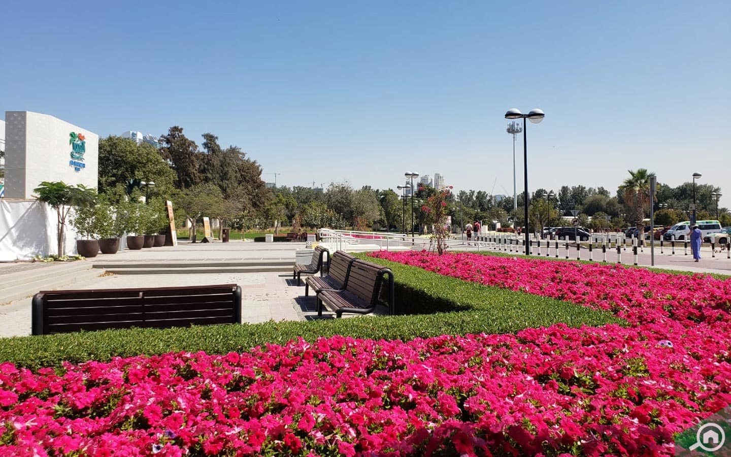 Al Mamzar Beach Park Activities:Ticket, Facilities & More - MyBayut