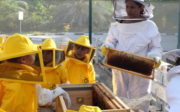 All About the Beekeepers Association UAE - MyBayut