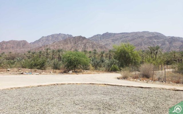 Al Bithnah Fort Fujairah: A historical site in Fujairah -MyBayut