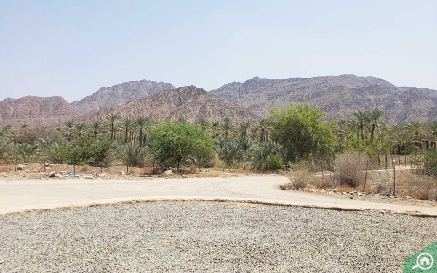 Al Bithnah Fort Fujairah: A historical site in Fujairah -MyBayut