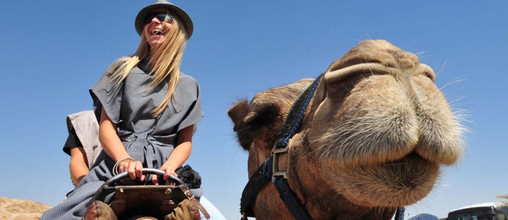 Camel riding in Dubai: Desert Safari, Platinum Heritage & more - MyBayut