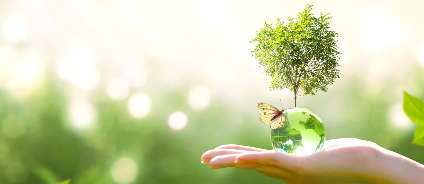 All About COP28 UAE Dates Location More MyBayut All About COP28 UAE Dates Location More MyBayut