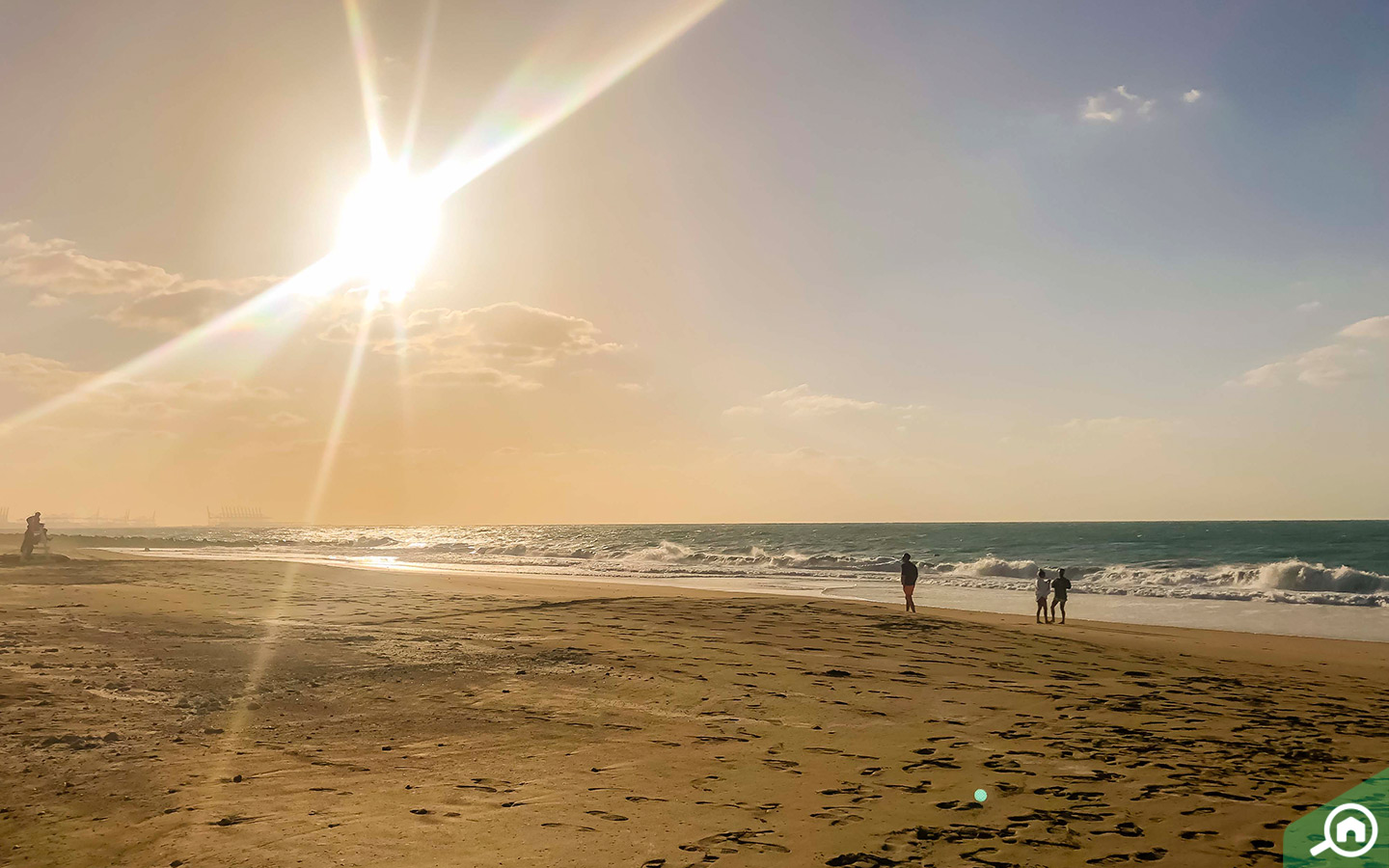 All About Cove Beach Dubai: Location, Timings, Entry & more - MyBayut