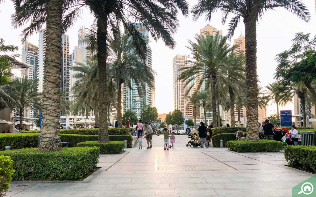 Guide to Dubai Marina Walk: Restaurants, Shops, Location & More - MyBayut