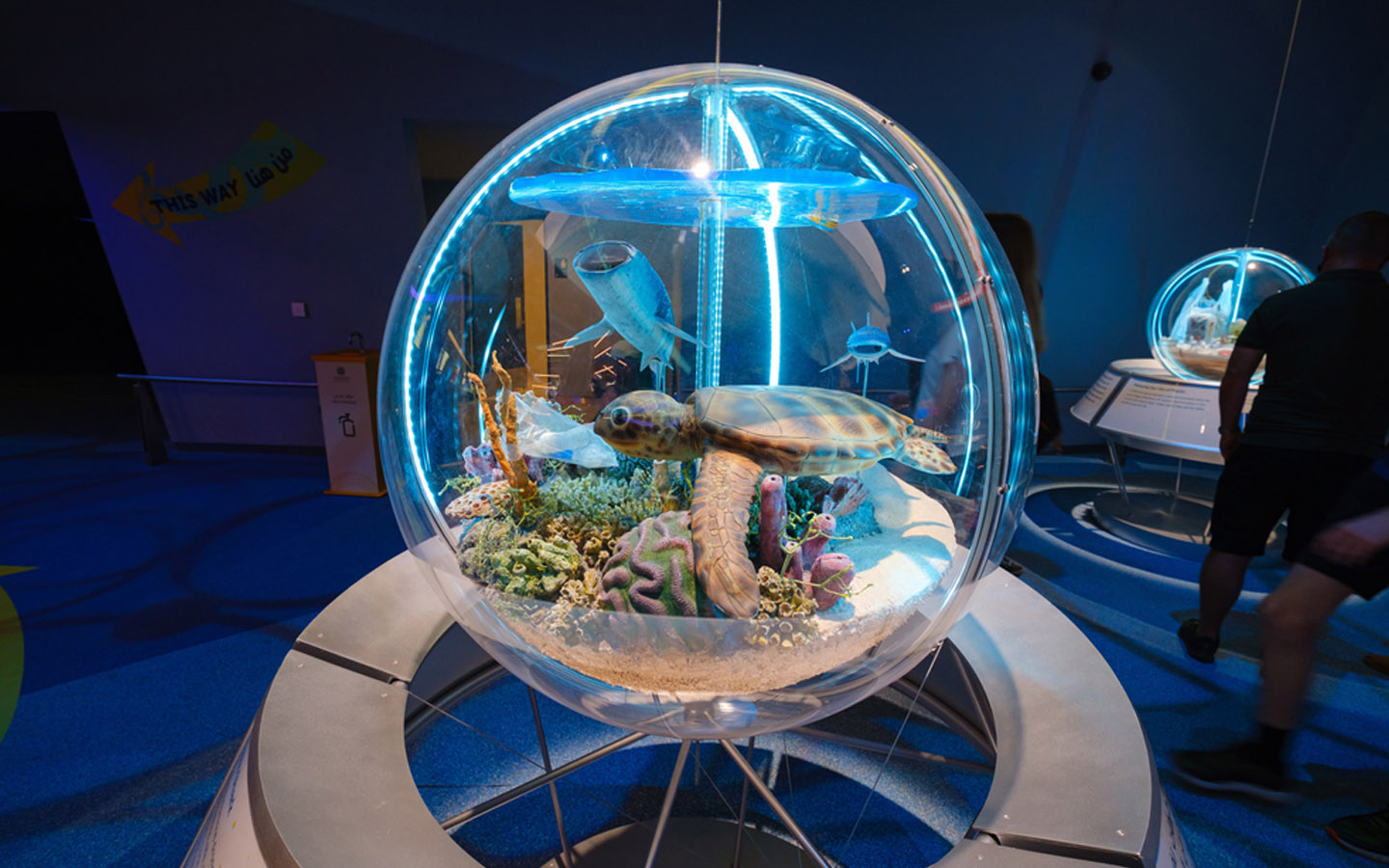 All About the Al Wasl Plaza Events at Expo 2020 - MyBayut