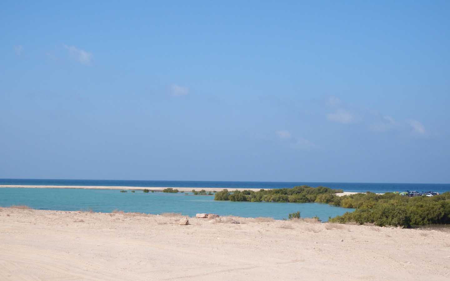 جزيرة دلما: المعالم السياحية والمرافق الخدمية | ماي بيوت