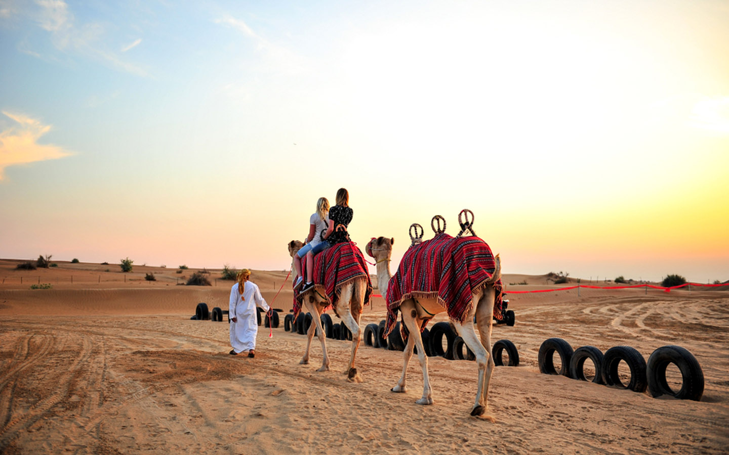 Planning for Desert Safari in Dubai: Timings, Activities & More – MyBayut