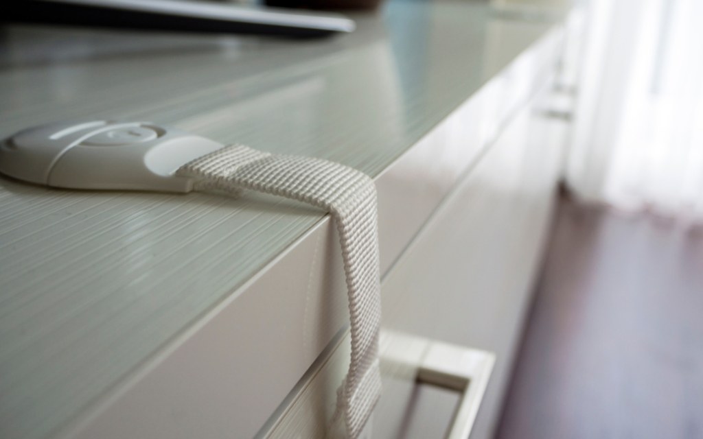 How to dog-proof your home: A guide for first timers - MyBayut