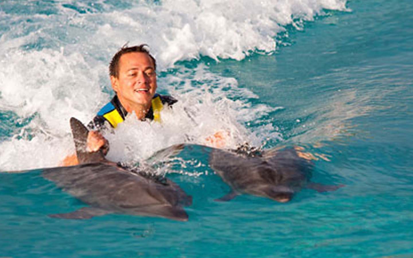 Dolphin Bay by Atlantis Dubai: Tickets, Timings & more - MyBayut