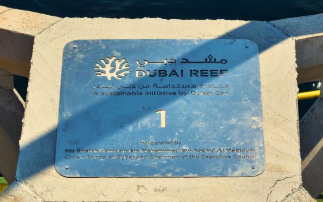 Dubai Reef: World’s Largest Marine Development Project - MyBayut