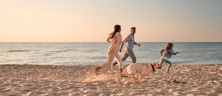 All About Dubai Islands Beach: Facilities, Timings and More - MyBayut