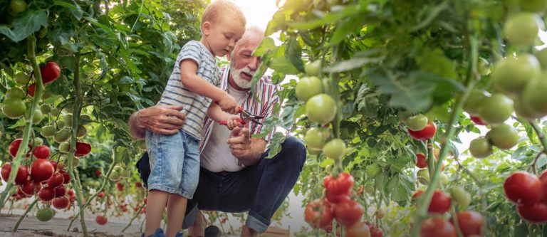 All About Emirates Bio Farm: Farm Tour, Restaurant & more - MyBayut