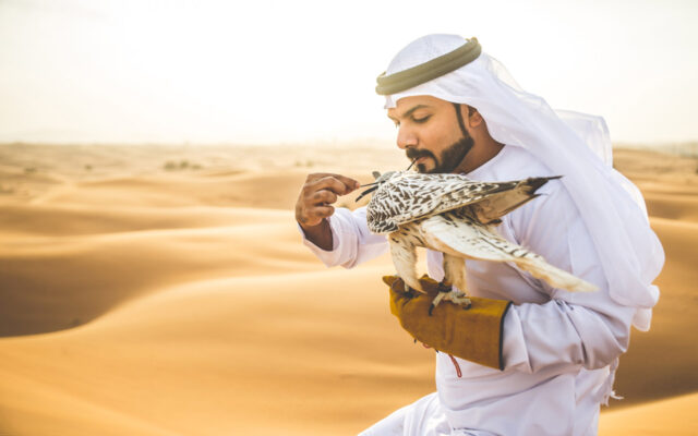 Falconry - One of the UAE's Oldest Traditions - MyBayut
