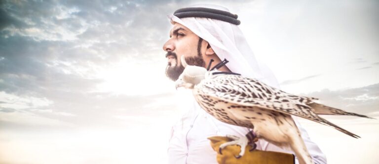 Falconry - One of the UAE's Oldest Traditions - MyBayut