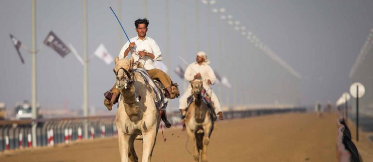 Traditional sports in UAE: Falconry, Archery & More - MyBayut