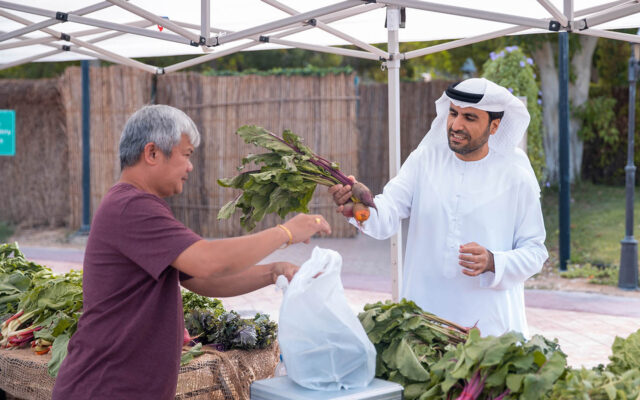 Farmers’ Market at Dubai Ladies Club: Dates, Timings & more - MyBayut