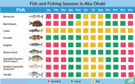 Fishing in Abu Dhabi Guide: Spots, Seasons, Licence & More - MyBayut