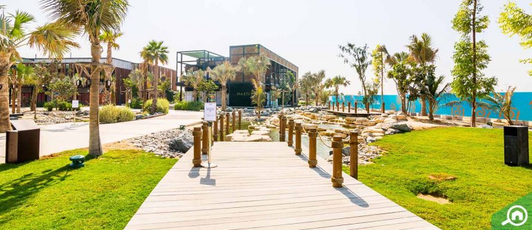 All You Need to Know About La Mer Beach Dubai - MyBayut